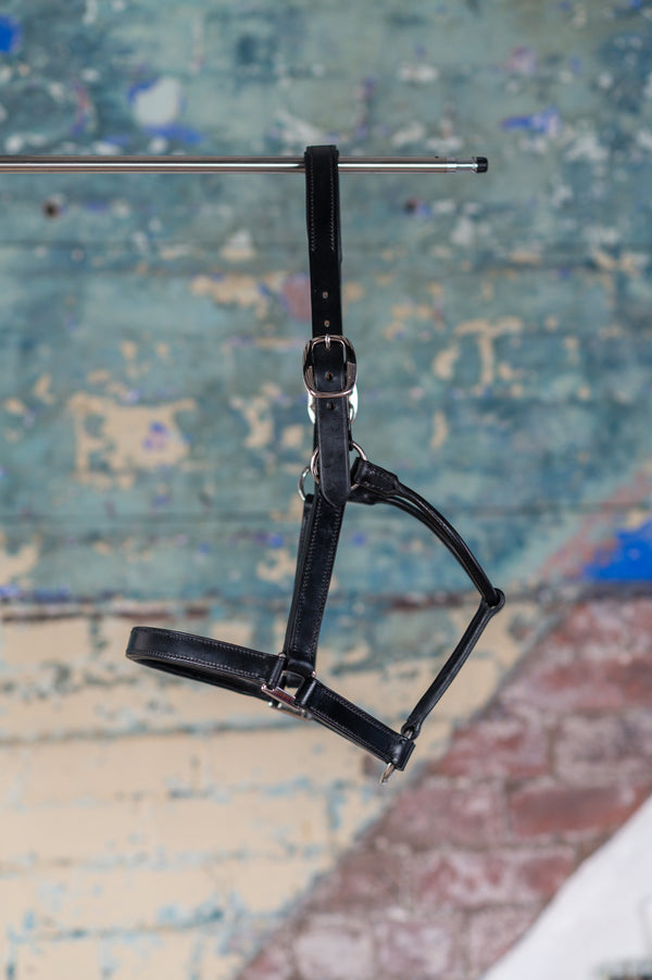 Holt Control Harness Big Dog Styles Head Collar (1, Black Holt Head ...